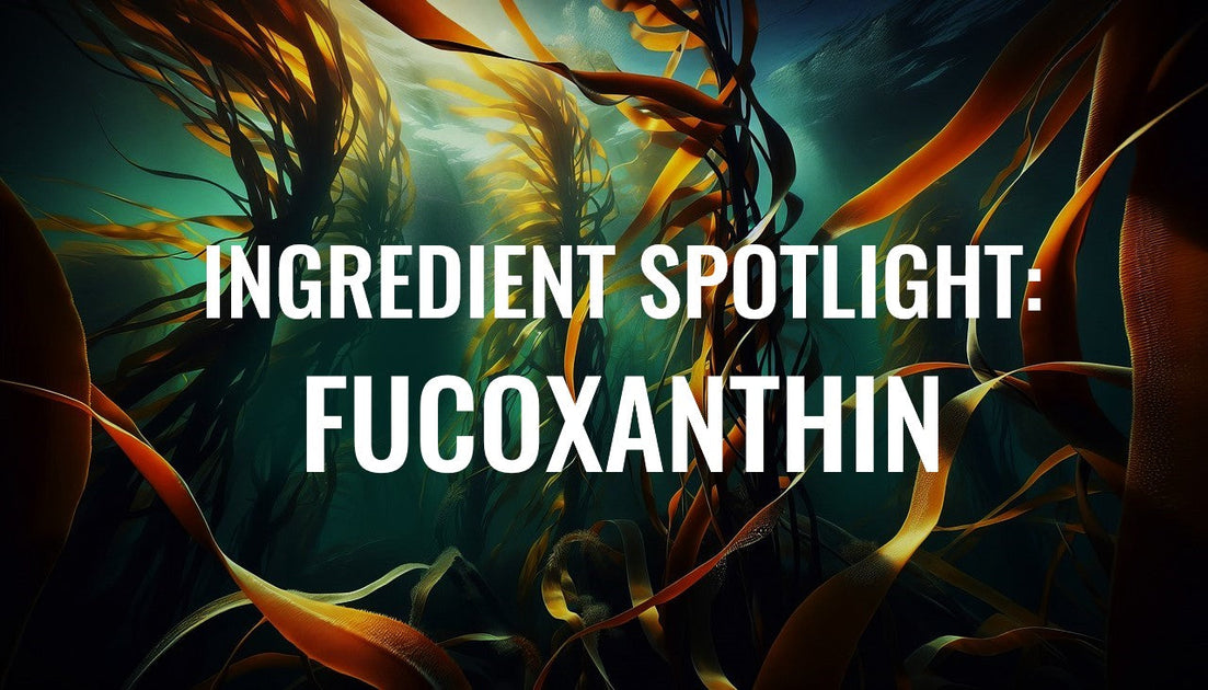 Ingredient Spotlight: Fucoxanthin – Performax Labs