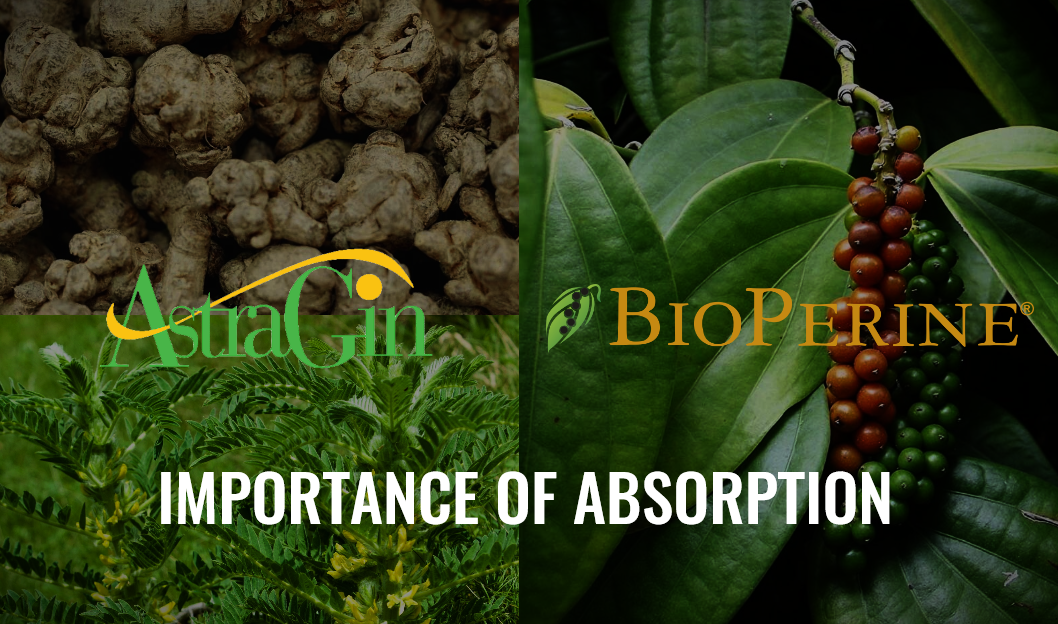 Why You Should Care About Absorption: The Science of AstraGin® and Bio ...