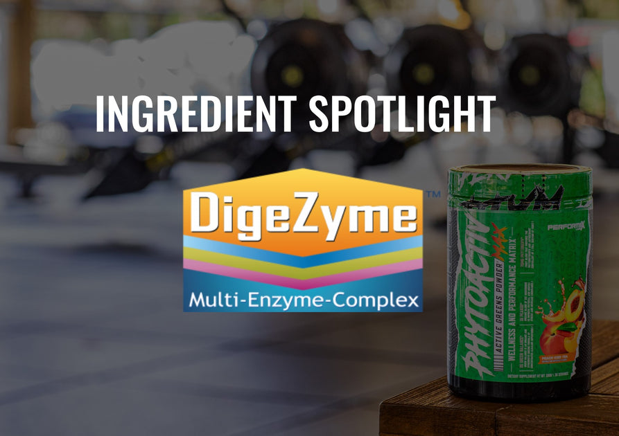 Ingredient Spotlight: DigeZyme® – Performax Labs